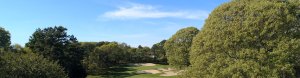 Home - Kings Way Golf Club